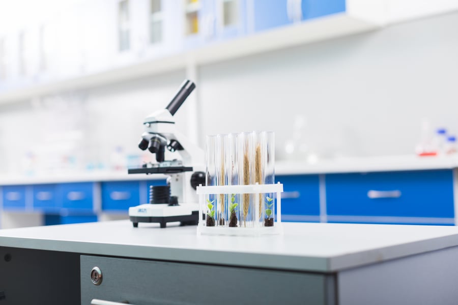 What Are Laboratory Cabinets And Countertops Made Of?