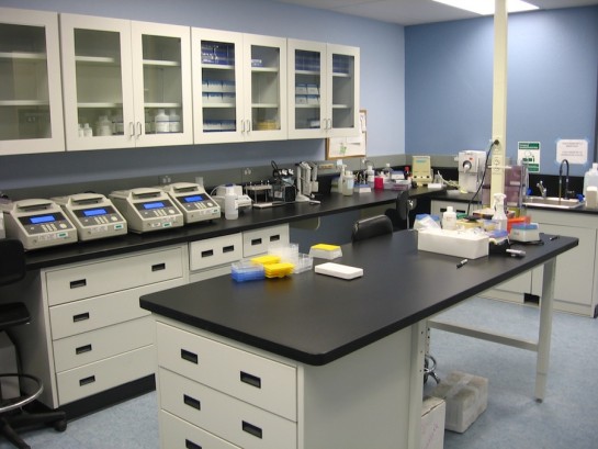 What Is Phenolic Resin And How Is It Used In Labs?